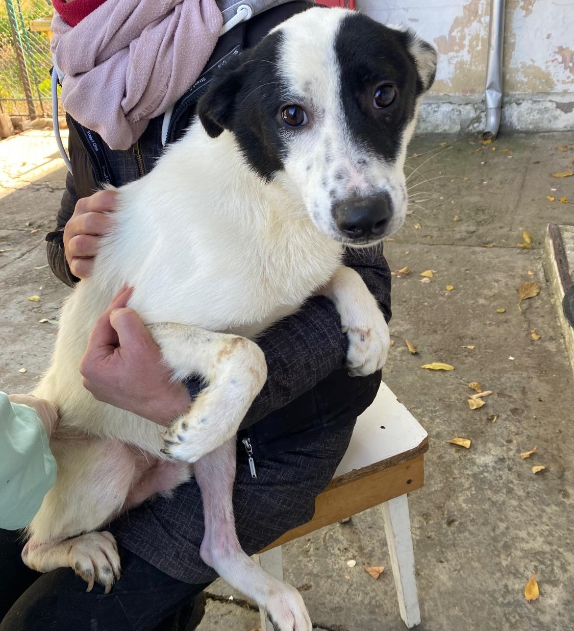 Unser NaTiNo Shelter - Wochenrückblick KW 44 - NaTiNo e.V.